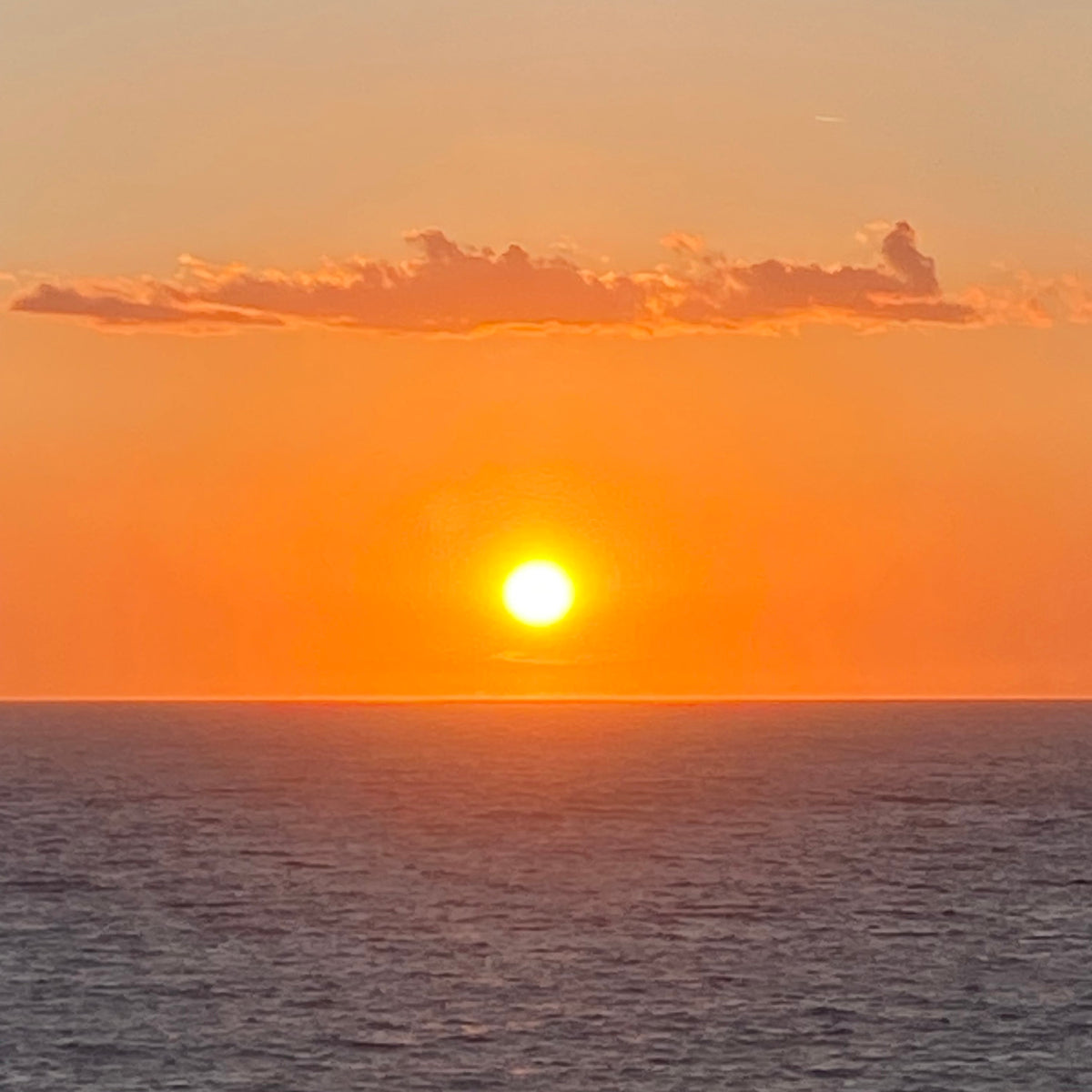 Embracing Change – Emanuela Duca